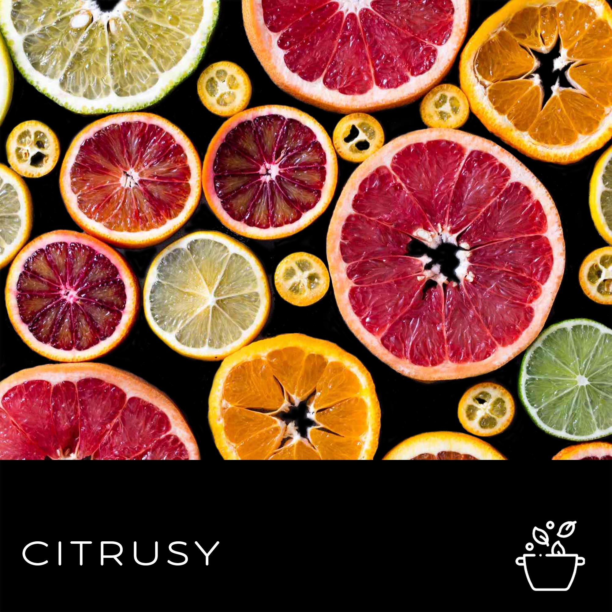 Citrusy, které neznáte | Made by Kristína