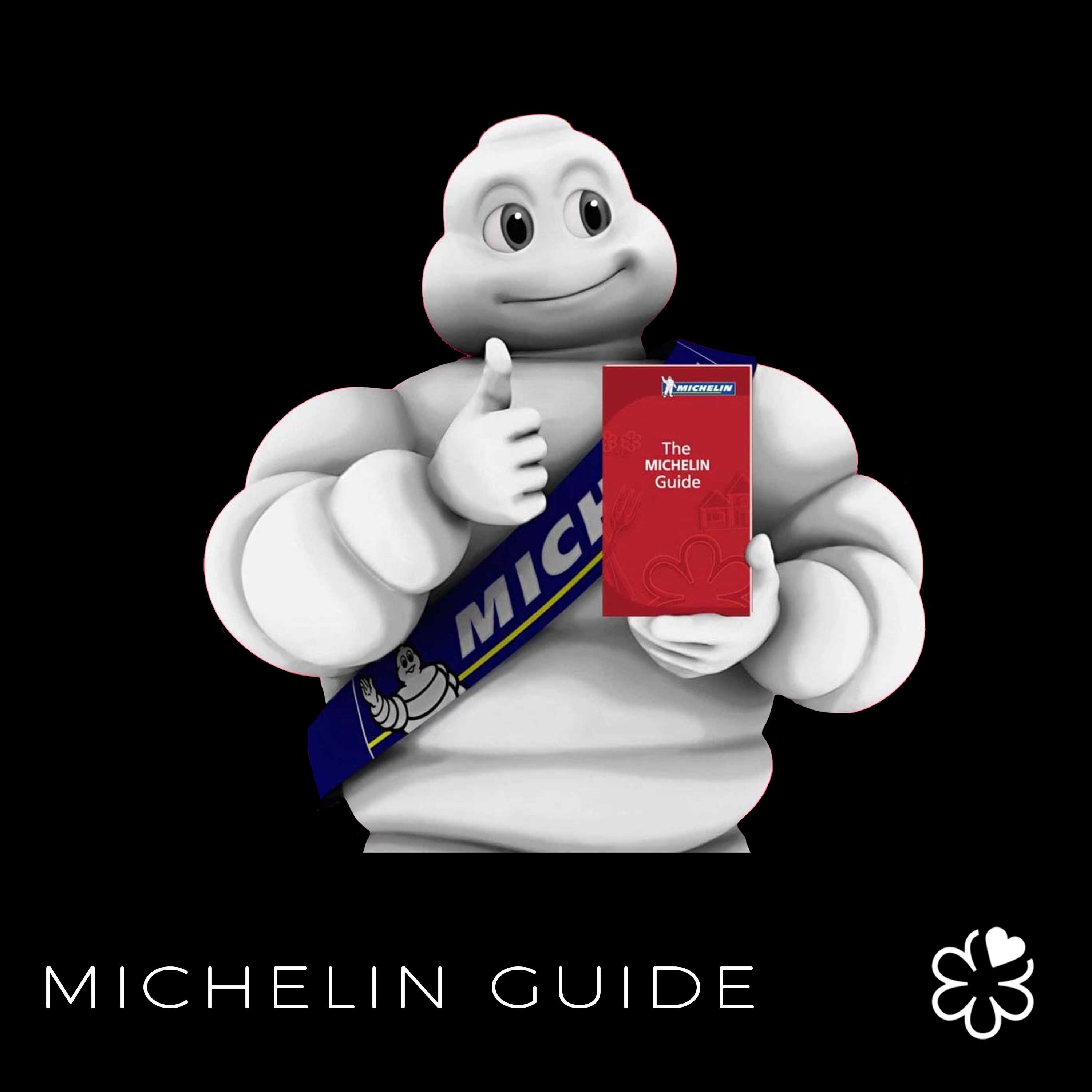 Vše, co vím o Michelinu | Made by Kristína